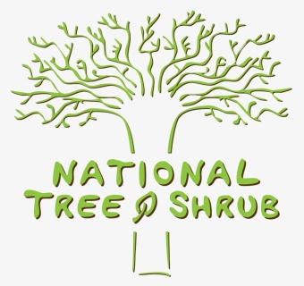 National Tree & Shrub , Png Download, Transparent Png , Transparent Png ...