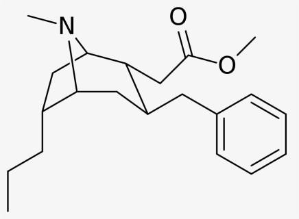 PNG Images, Transparent Image Download , Page 24065 - PNGitem