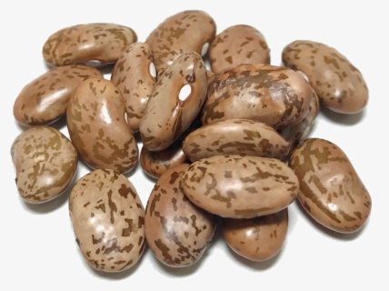 Pinto Beans, HD Png Download , Transparent Png Image - PNGitem