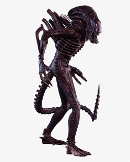 Transparent Alien Xenomorph Png - Xenomorph Png, Png Download ...