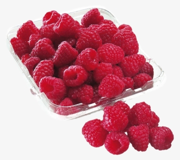 Download Raspberry Png, Transparent Png , Transparent Png Image - PNGitem
