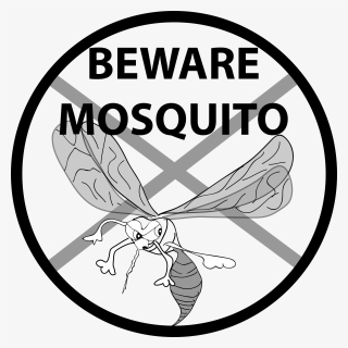 Mosquito PNG Images, Transparent Mosquito Image Download - PNGitem