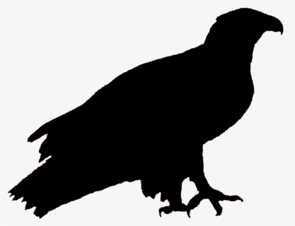 Eagle Silhouette PNG Images, Transparent Eagle Silhouette Image ...