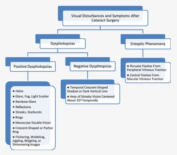 Good Vs Bad - Positive And Negative Influence, HD Png Download ...