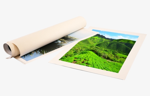 Canvas Printed, HD Png Download , Transparent Png Image - PNGitem