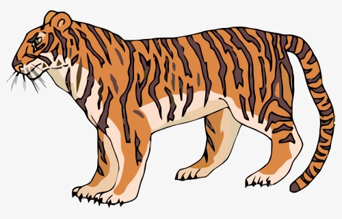 Walking Tiger Transparent Image - Tiger Running Front View Png, Png ...