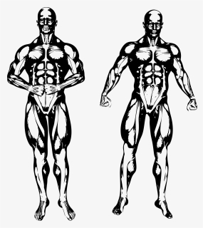 Muscle Man PNG Images, Transparent Muscle Man Image Download - PNGitem
