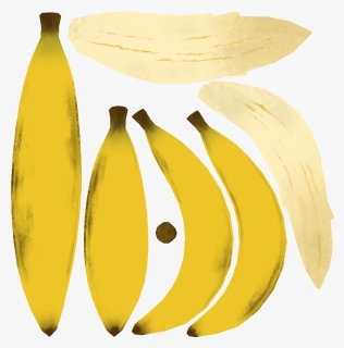 Hello Von Stroheim From Hello Zane From Ninago Lego - Lego Ninjago Zane ...