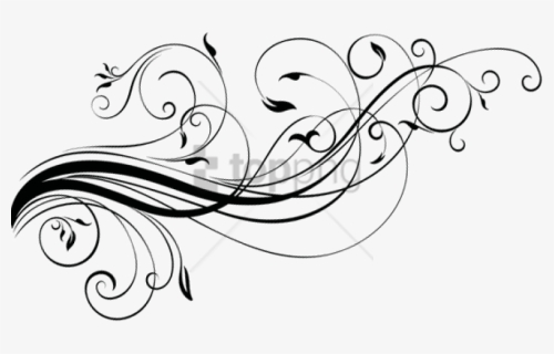 Swirl Line PNG Images, Transparent Swirl Line Image Download - PNGitem