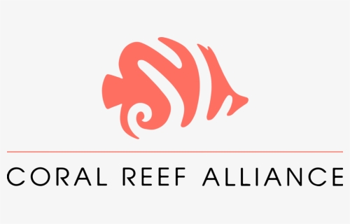 Turquoise,tree,coral - Transparent Coral Reef Png, Png Download ...