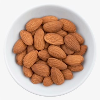 Almond Png - Almond Icon Png, Transparent Png , Transparent Png Image ...