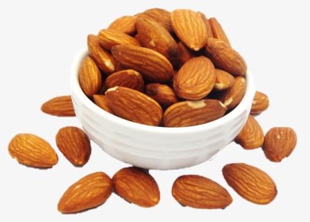 Almond Png - Almond Icon Png, Transparent Png , Transparent Png Image ...