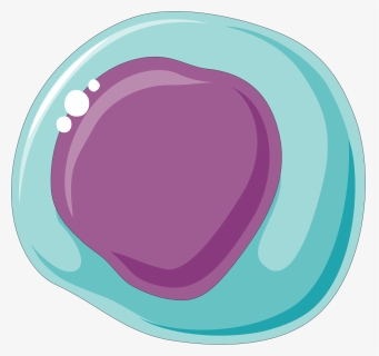 Stem Cells 1 Smart Servier - Stem Cells Png, Transparent Png ...