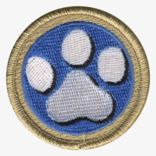 Patch Patroller - Patch Patroller Fortnite Png, Transparent Png ...