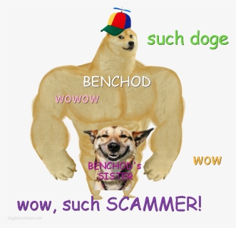 Doge PNG Images, Transparent Doge Image Download - PNGitem