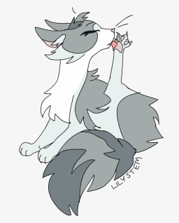 Angry Cat PNG Images, Transparent Angry Cat Image Download - PNGitem