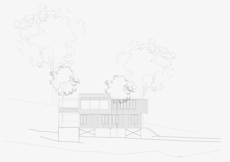 Tree Elevation PNG Images, Transparent Tree Elevation Image Download ...