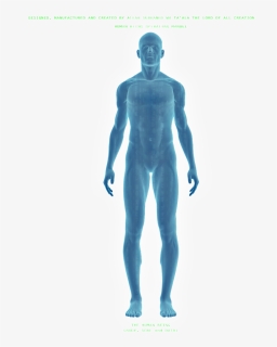 28 Collection Of Human Body Clipart Png - Human Body Organs Clipart ...