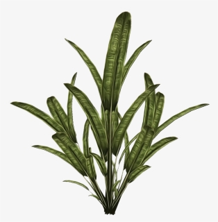 Plant Stem PNG Images, Transparent Plant Stem Image Download , Page 2 ...