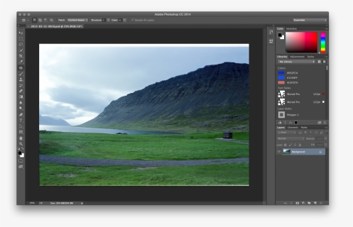 Wetland Grass For Photoshop, HD Png Download , Transparent Png Image ...