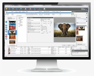 Wasatch Softrip Epson Edition Rip Software - Wasatch Rip, HD Png ...