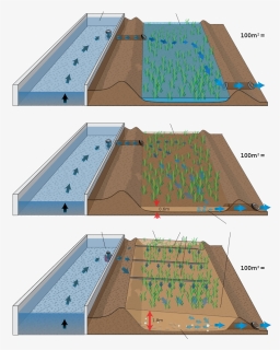 Wood Sign PNG Images, Transparent Wood Sign Image Download - PNGitem