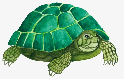 Easy Sweet And Cute Turtle Clipart Drawing Transparent - Cartoon Cute ...