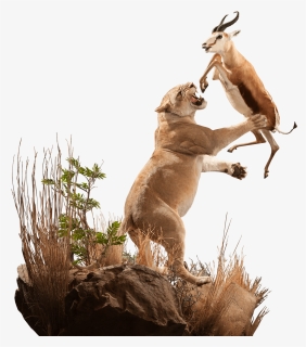 Cat Jumping Clipart - Dog Silhouette Transparent Background, HD Png ...