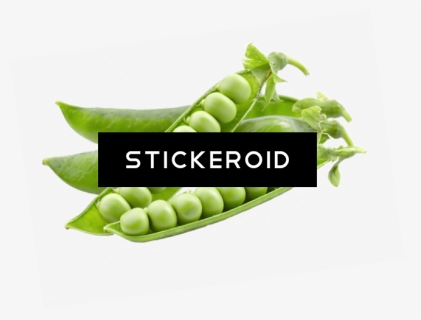 Pea Transparent Free Png - Vegetables In A Single, Png Download ...