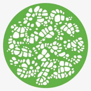 Turtle Shell PNG Images, Transparent Turtle Shell Image Download - PNGitem