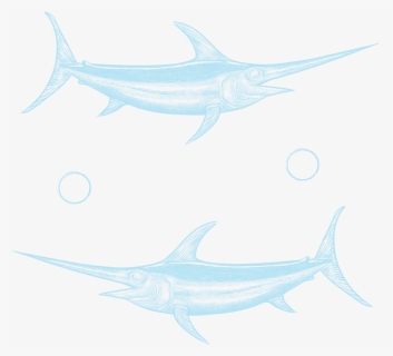 Swordfish Png, Transparent Png , Transparent Png Image - PNGitem