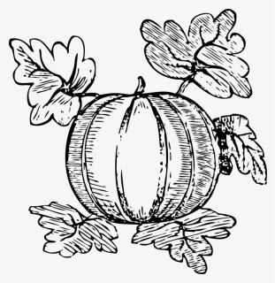 Collection Of Free Watermelon Drawing Pointillism Download - Watermelon ...