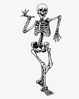 Transparent Bones Skeleton Dance, HD Png Download , Transparent Png ...