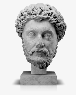 Bust, HD Png Download , Transparent Png Image - PNGitem