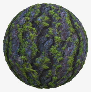 Bark PNG Images, Transparent Bark Image Download - PNGitem