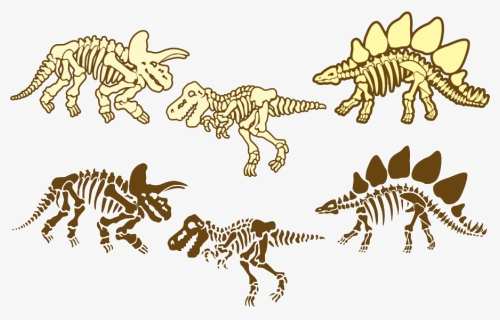 Dinosaur Transparent Background Skeleton, HD Png Download , Transparent ...