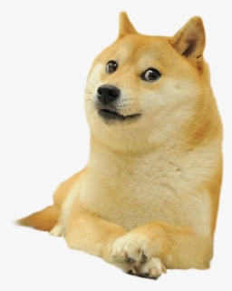 Buff Doge, HD Png Download , Transparent Png Image - PNGitem