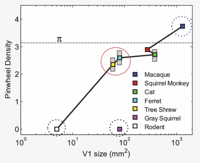 Pinwheel PNG Images, Transparent Pinwheel Image Download - PNGitem