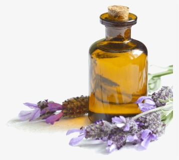 Essential Oil - Essential Oils Png, Transparent Png , Transparent Png ...