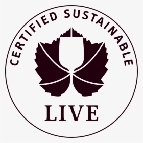 Logo For Certificate PNG Images, Transparent Logo For Certificate Image ...