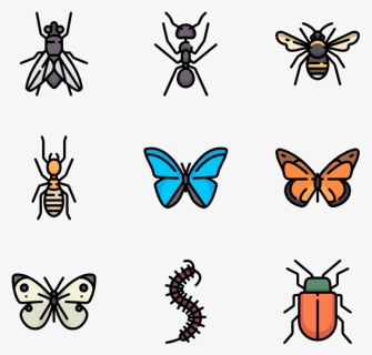 Insects PNG Images, Transparent Insects Image Download - PNGitem