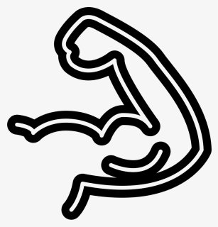 Flexing Muscles Png - Biceps Clipart, Transparent Png , Transparent Png ...