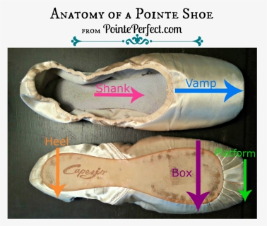 Shoes Clipart, HD Png Download , Transparent Png Image - PNGitem