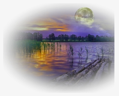 Reflection PNG Images, Transparent Reflection Image Download - PNGitem