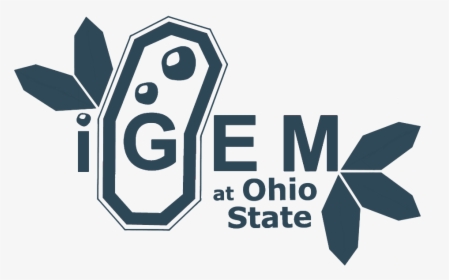 Ohio State PNG Images, Transparent Ohio State Image Download , Page 2 ...